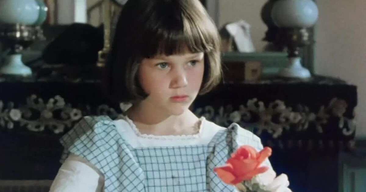 Les Malheurs de Sophie - Adaptation cinématographique (1979)