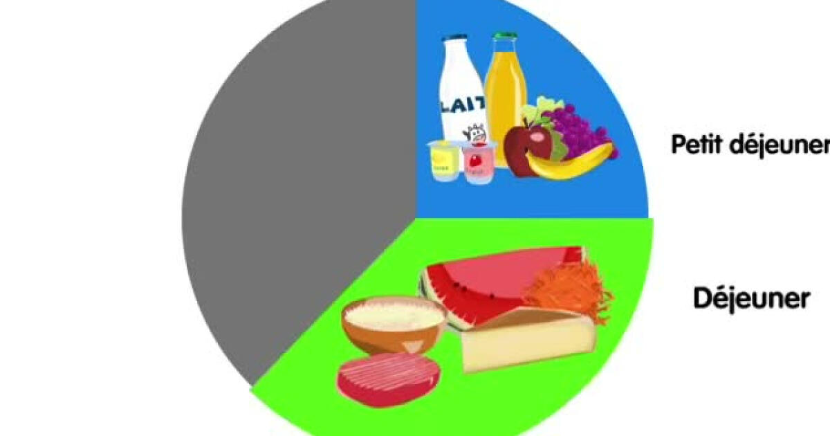 Les rôles des différents repas de la journée | Lumni Enseignement