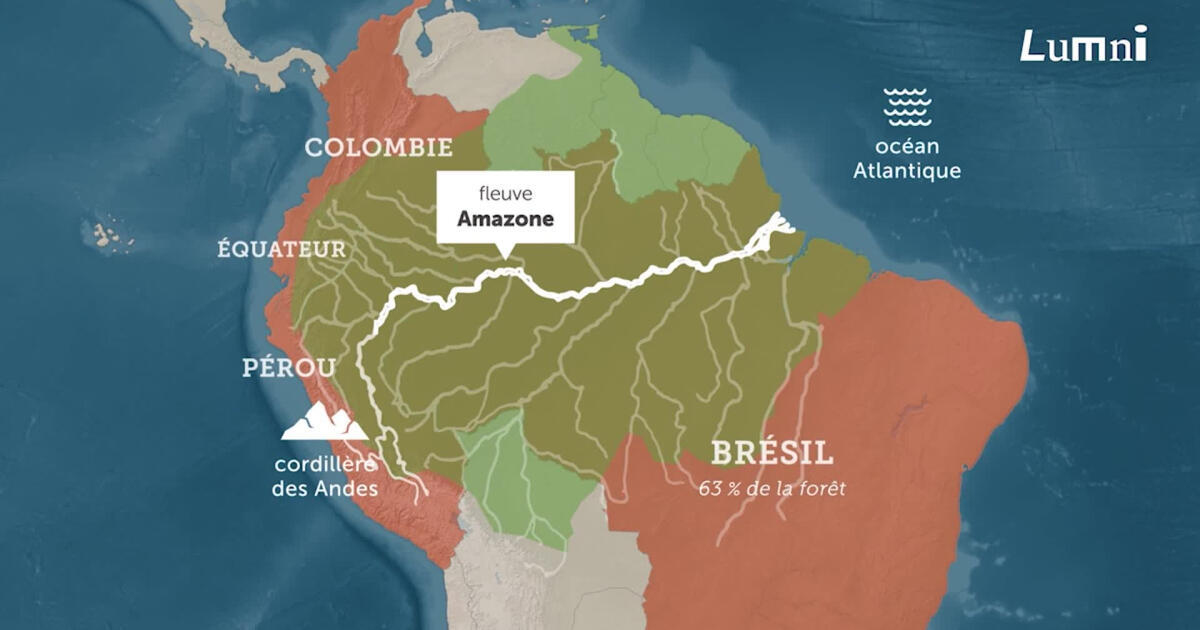 A qui appartient la forêt amazonienne ? | Lumni Enseignement
