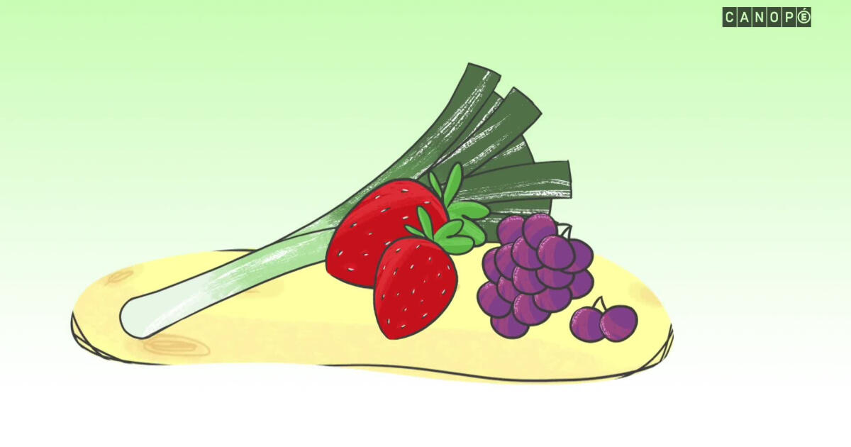 Découvrir le son [r] et sa graphie | Lumni Enseignement