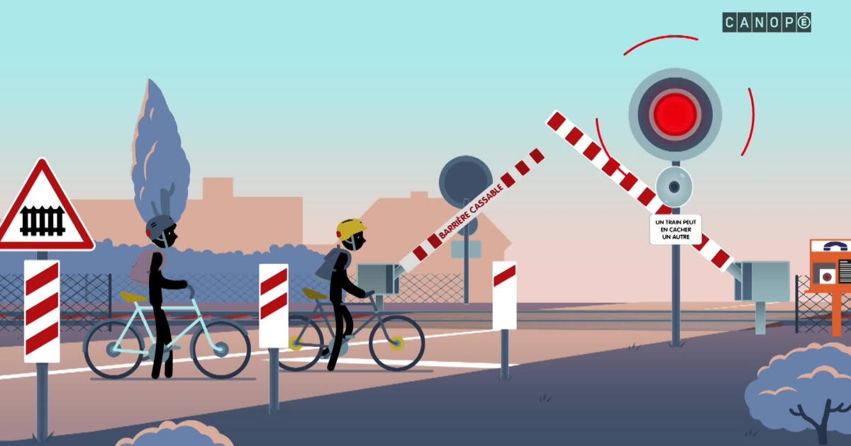 Le feu rouge clignote, tu stoppes | Lumni Enseignement