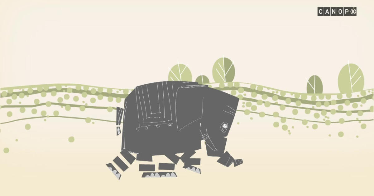 Découvrir le son [e] et ses graphies | Lumni Enseignement