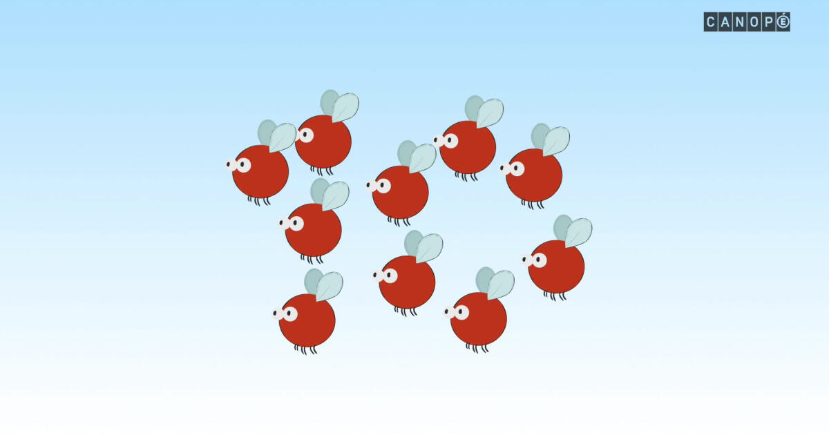 Découvrir le son [s] et ses graphies (1/2) | Lumni Enseignement