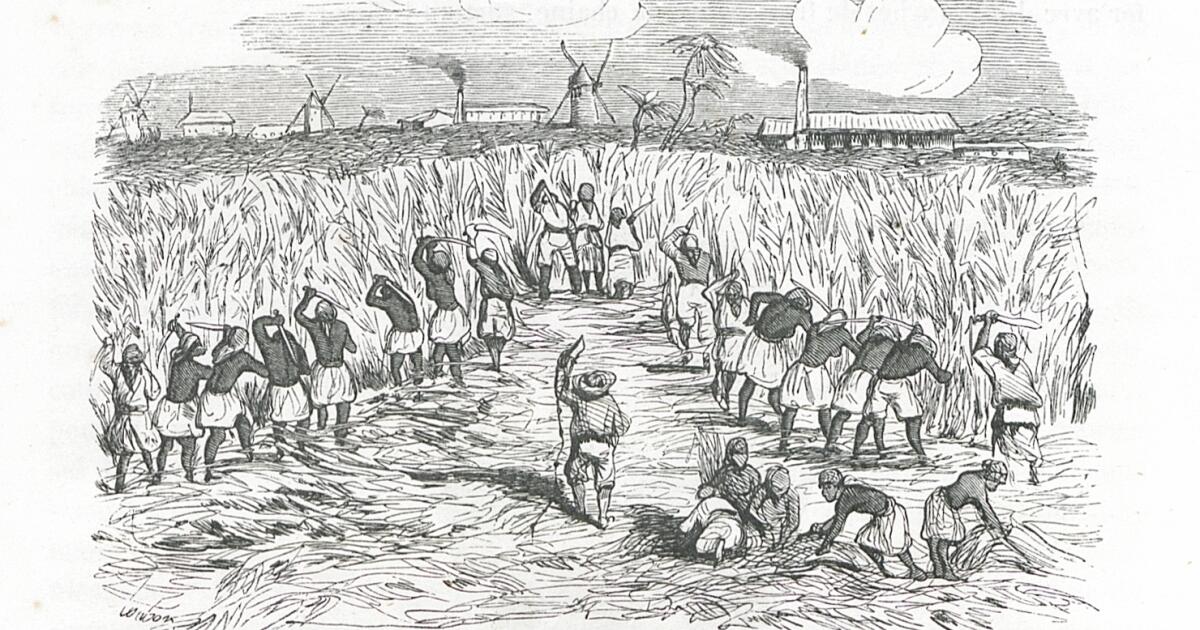 Commerce triangulaire : La « route du sucre », lucratif retour vers l ...