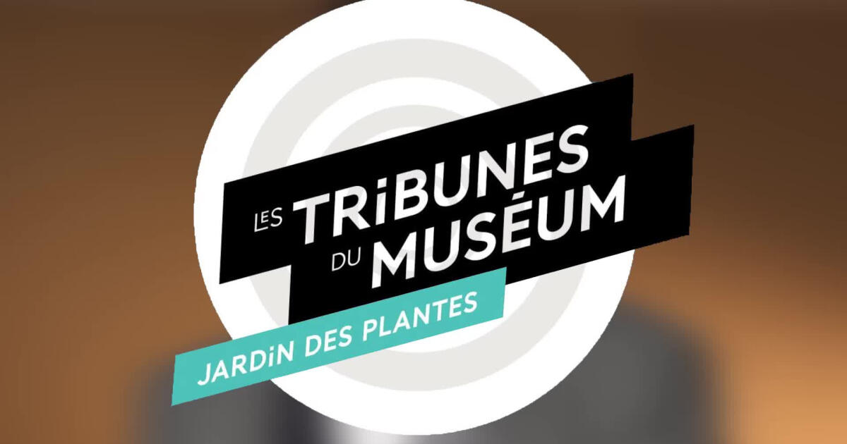 Les Tribunes du Muséum : la nature, l'avenir des villes | Lumni ...